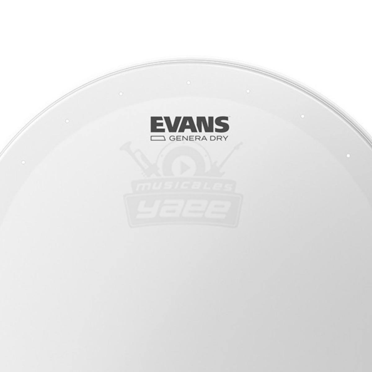 EVANS B14DRY PARCHE 14" TAROLA GENERA DRY