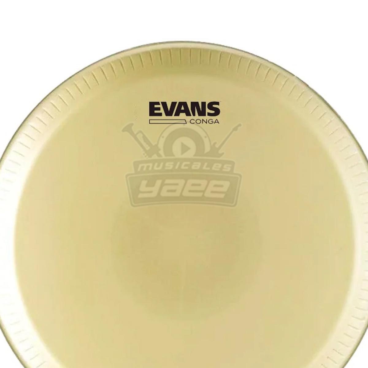 EVANS EC1100 PARCHE PARA CONGA DE 11" TRI CENTER