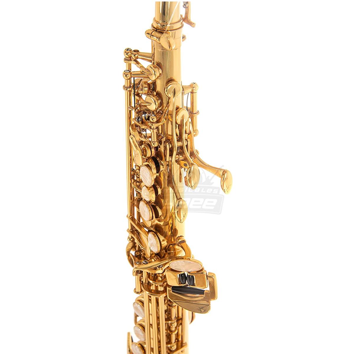 Roy Benson Ss-302 Saxofono Soprano Recto Laqueado Latón