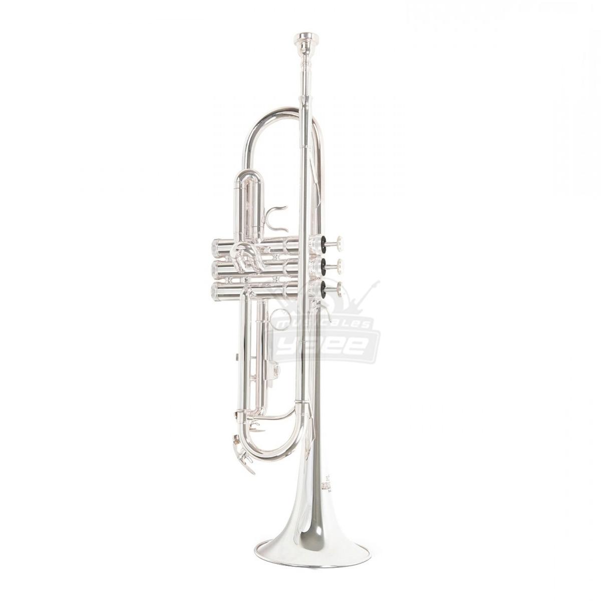 Roy Benson TR202S TROMPETA PLATEADA Con estuche