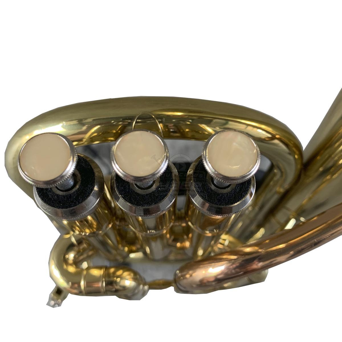 SAXOR VINCENZO V-SAXOR-L LAQUEADO